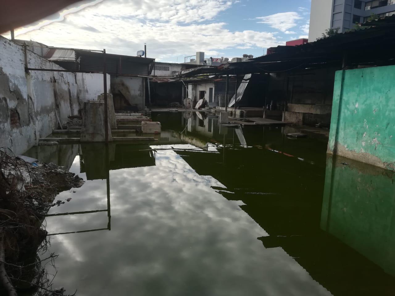 PAOT inspeccionó tenería de León