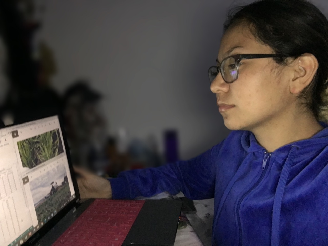 Desarrollan estudiantes y docentes del ITESS, Proyecto de Cultivos ...