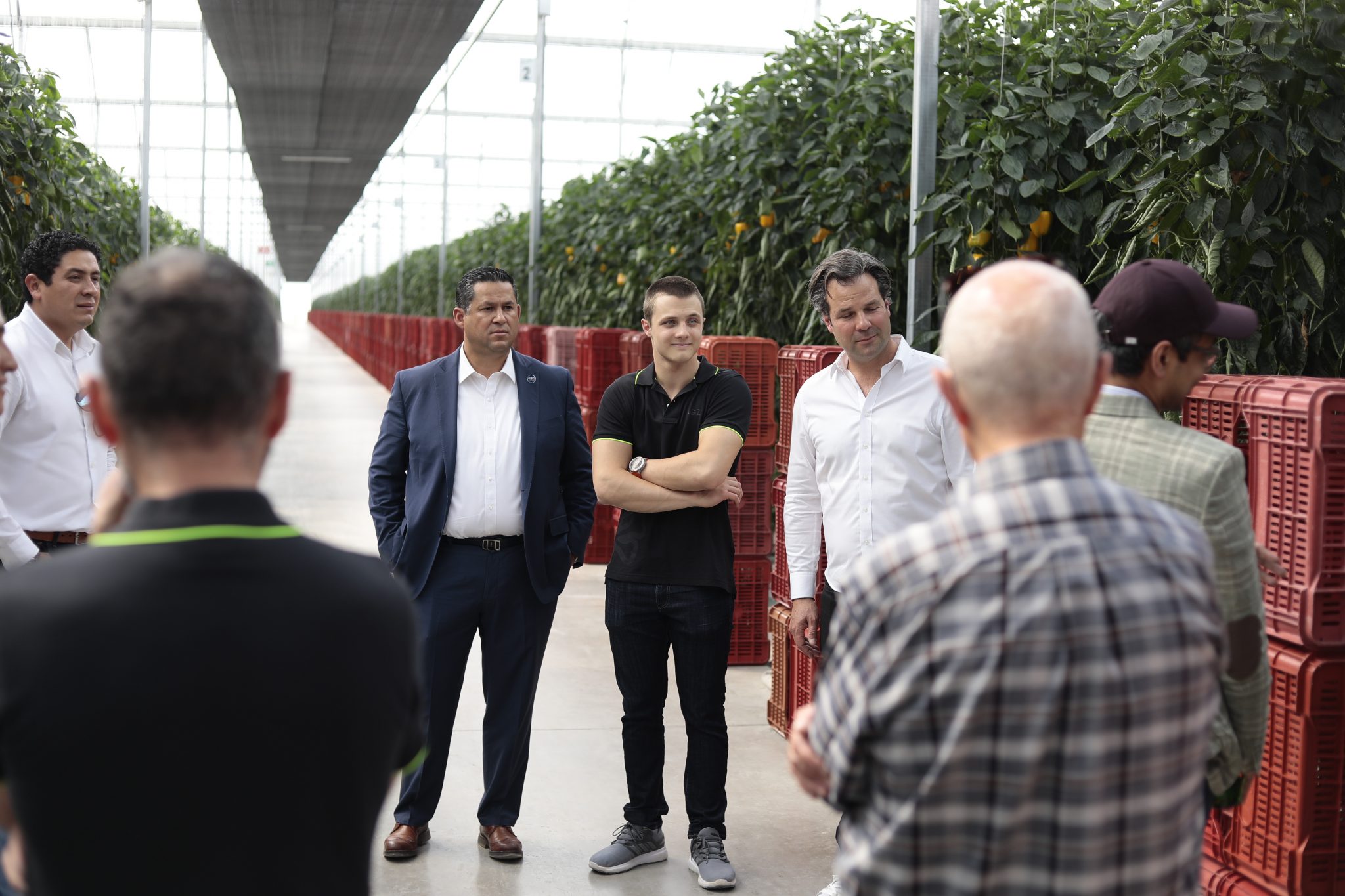 Impulsa Gobierno del Estado al sector agroalimentario en San Luis de la ...