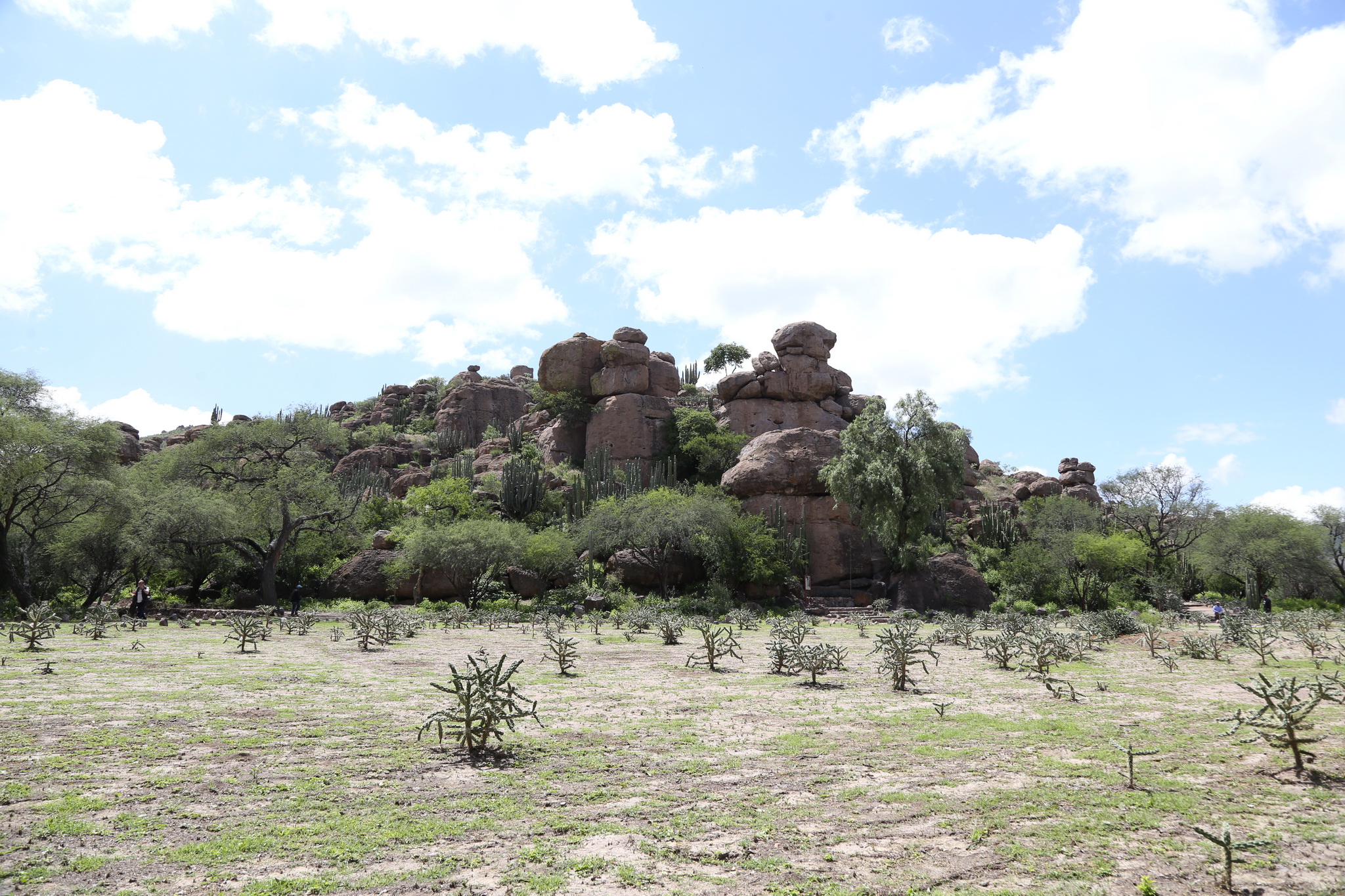 Celebra quinto aniversario zona arqueológica de Arroyo Seco – Boletines ...