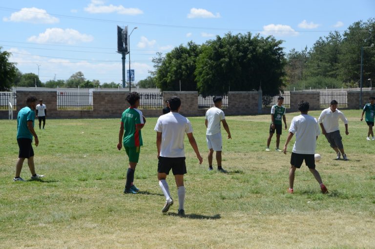 UTL – Boletines Dependencias