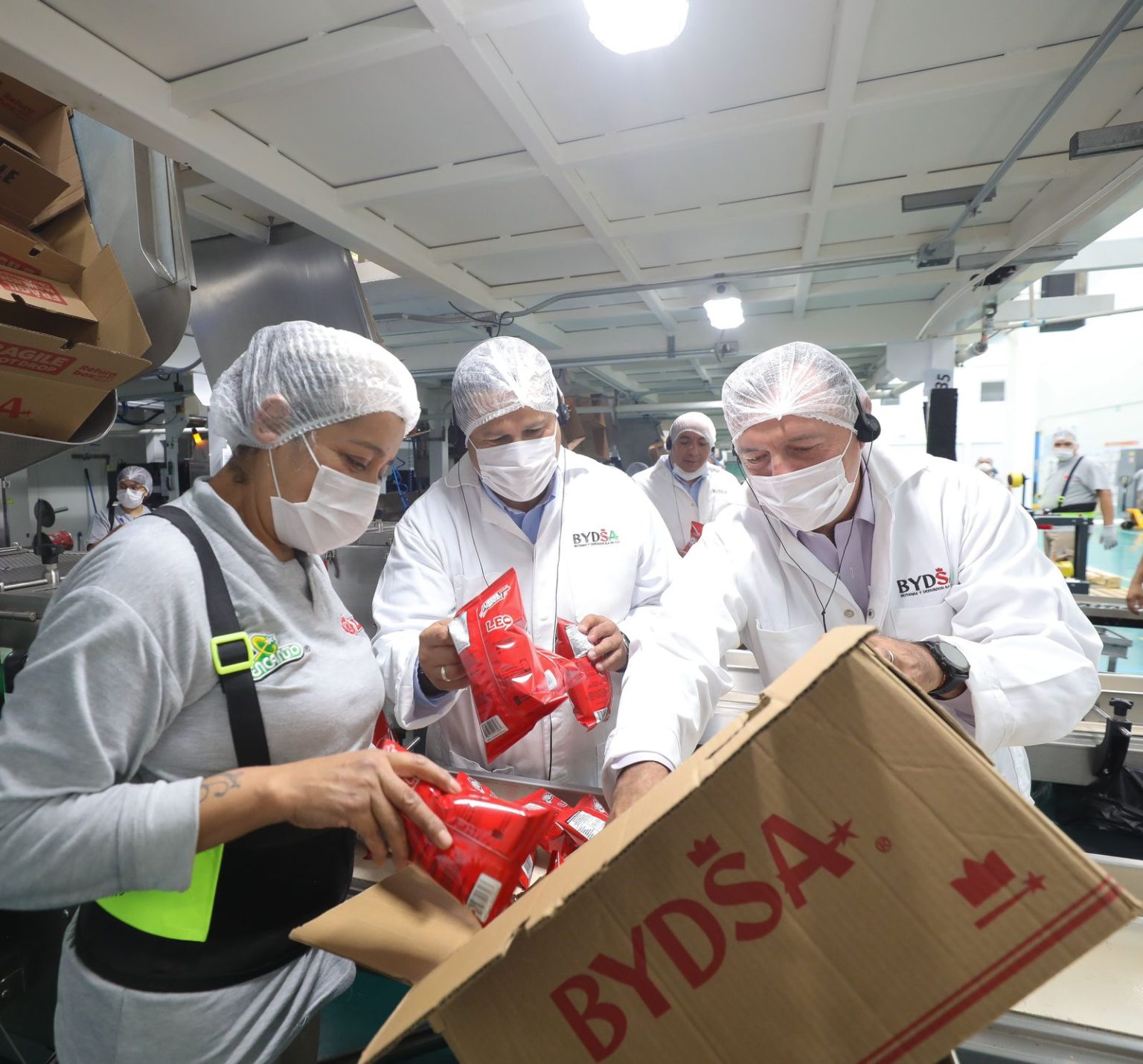 Botanas y Derivados BYDSA – Boletines Dependencias