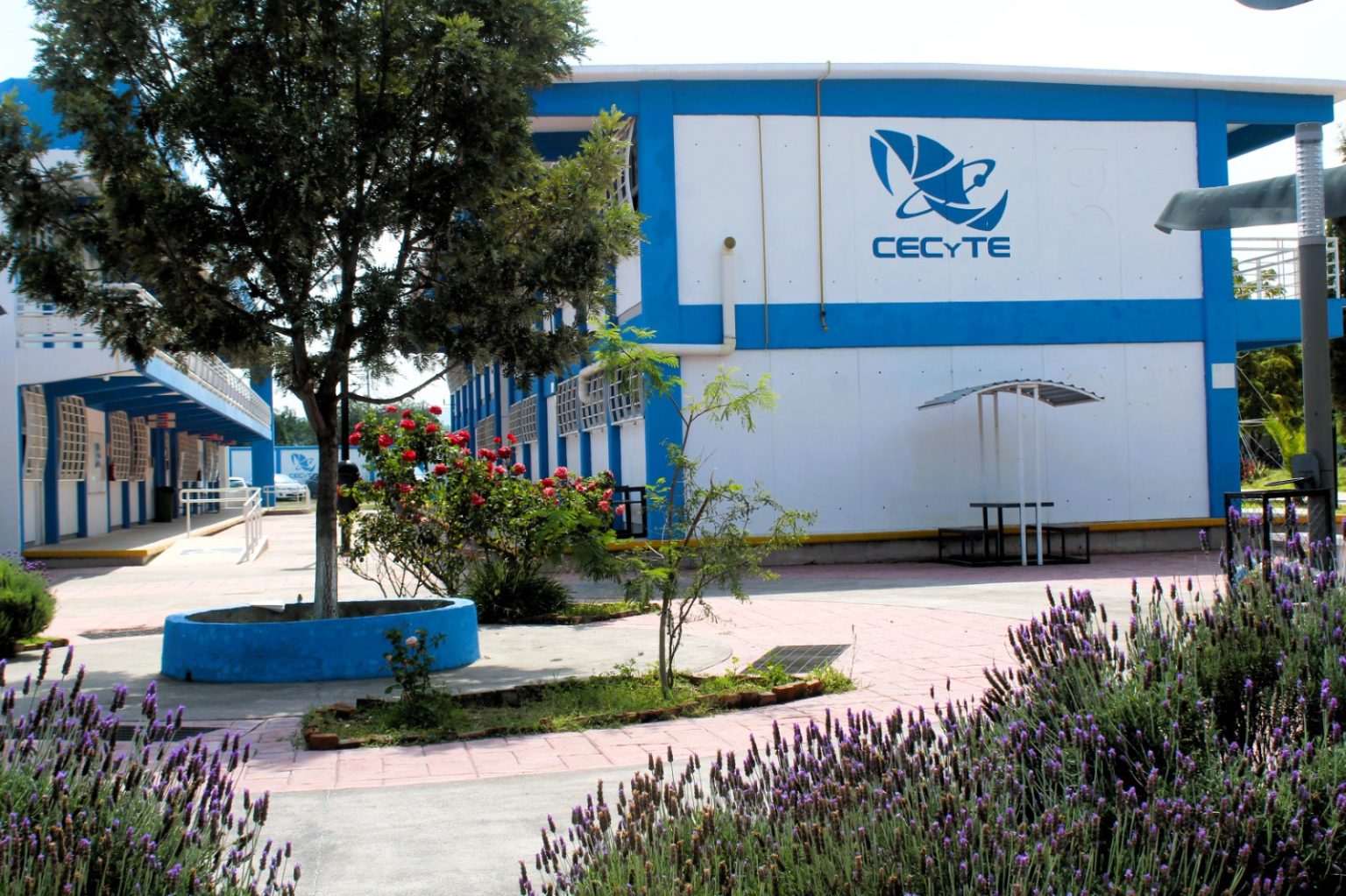 CECYTE Guanajuato – Boletines Dependencias